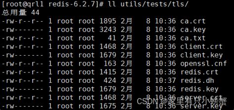 Redis部署全攻略SSL TLS配置 redis tls CSDN博客