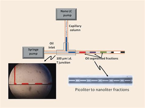 Maximizing Hplc Power And Throughput