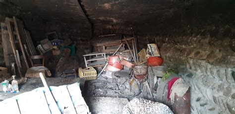 Antisanitar şəraitdə fəaliyyət göstərən toyuq sexinin fəaliyyəti dayandırılıb