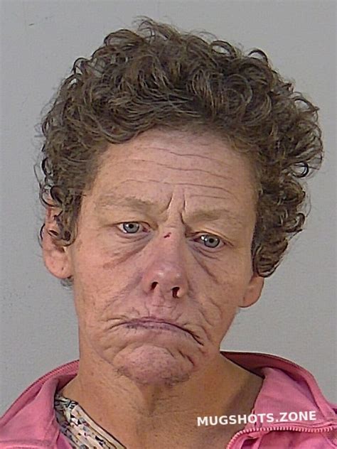 Crystal Gail Conner 12012023 Lake County Mugshots Zone