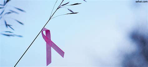 Cancer Alternative Therapies Sehat