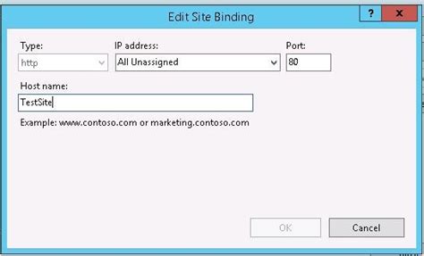 hosting multiple websites on a single server apache and iis 🌐 cloudzy