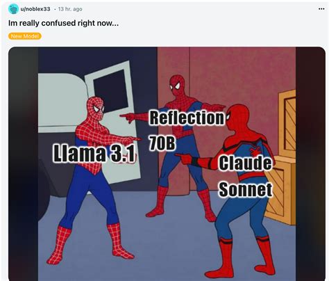 A Reflection On Reflection 70b What It Teaches Us About Llm Evaluation