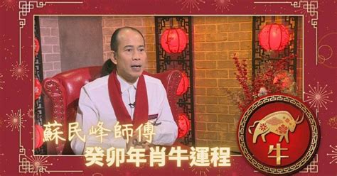 張敬軒承諾票房破2000萬騷肌 心疼英國騷歌迷高價8萬買黃牛 Tvb娛樂新聞 東方新地 Page 223