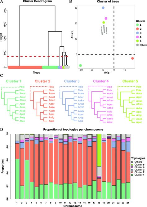 Topological Inconsistencies Across Anemonefish Nuclear Genome A