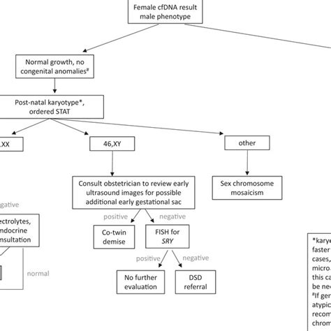 Recommended Clinical Evaluation When CfDNA Predicts Male Fetal Sex And Download Scientific