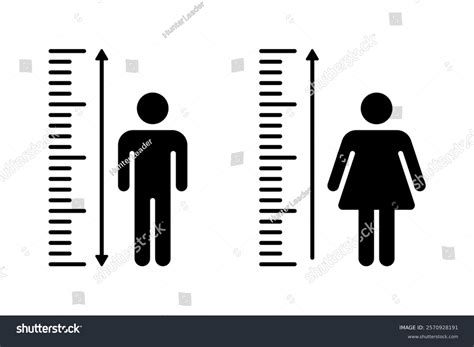 Human Height Icon Set Height Measurement Stock Vector Royalty Free