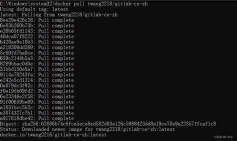 windows系统下搭建docker、gitlab服务 gitlab windows部署 csdn博客