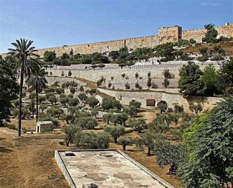 Cómo visitar y qué ver en Huerto Getsemaní Jerusalén Tumba de la