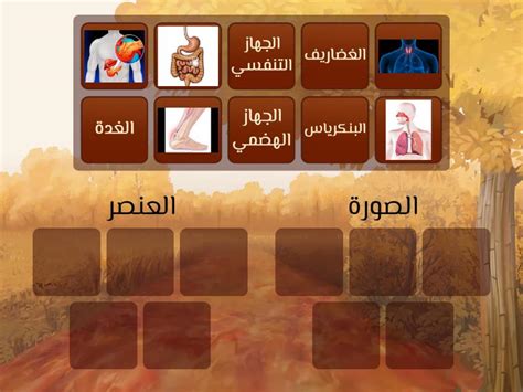 Eman Badr Group Sort