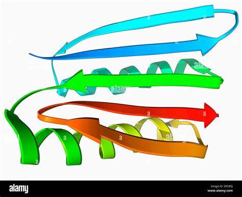 Protein Model Cut Out Stock Images And Pictures Alamy