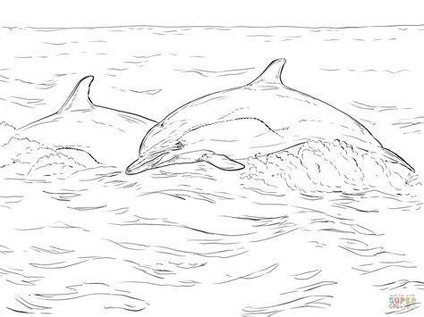Ispirazione Disegni Delfini Da Stampare E Colorare Migliori Pagine Da