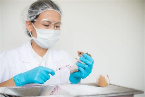 Premium Photo Doctor Giving Injection To Rat Against White Background