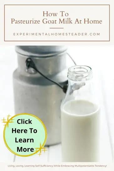 Crock Pot Goat Milk Pasteurizer
