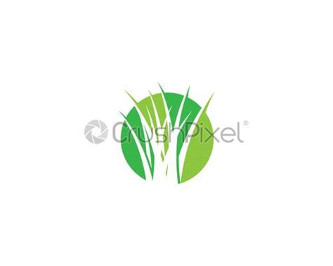 Grass Vector Illustration Stock Vector Crushpixel