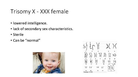 Chromosomes Colored Bodies Chromosomes Carry Genetic Information