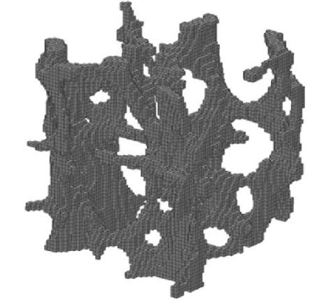 voxel finite element mesh of trabecular bone with 44 lm resolution