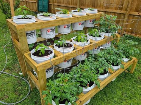 Bucket Gardening Container Gardening Gardening Tips Garden Rack Diy