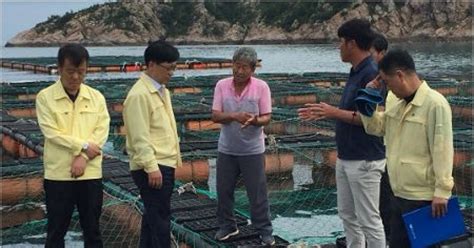 전남도 신안 고수온 피해 신속 복구 총력