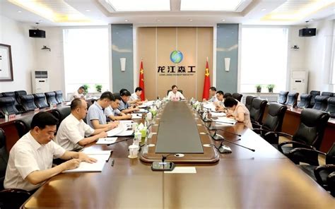 省森工总局党委第33次（集团公司党委第9次）扩大澎湃号·政务澎湃新闻 The Paper