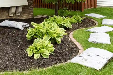 1 Tree Services Sydney Tree Surgeon Arborist Inquire