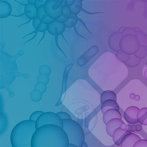 Comprehensive Stool Analysis With Parasitology Sample Test Report
