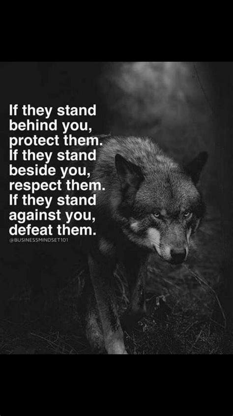 Leadership Alpha Female Wolf Quotes ShortQuotes Cc