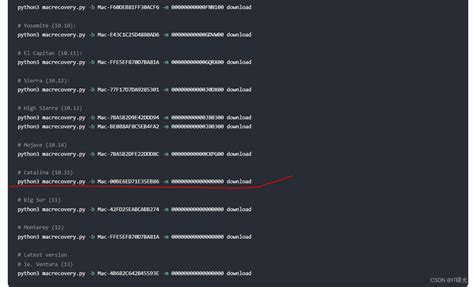 黑苹果安装主要步骤creating The Usb Opencore Install Guide Csdn博客