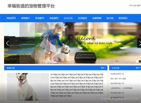 php mysql宠物管理平台 基于php mysql的宠物网站小项目开发 csdn博客