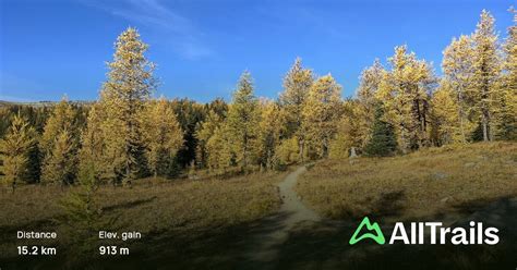 Healy Pass Simpson Pass Sunshine Village Alberta Canada 45
