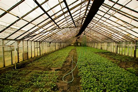 Agriplast Tech India Private Limited What Is Greenhouse Farming