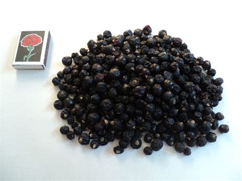 Купить сушеную черную смородину с доставкой в Москве МскПродукт