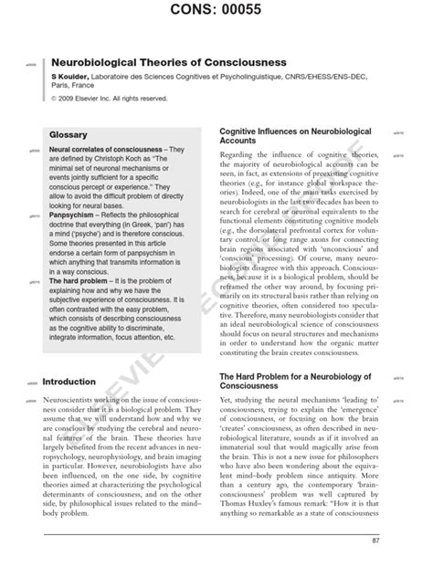 neurobiological theories of consciousness pdf visual cortex