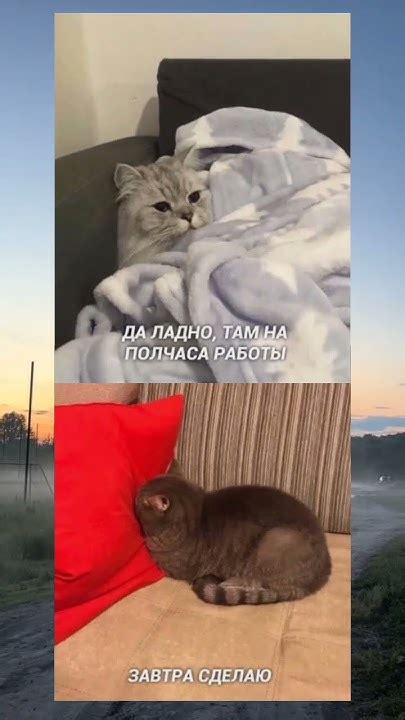гадзила Youtube