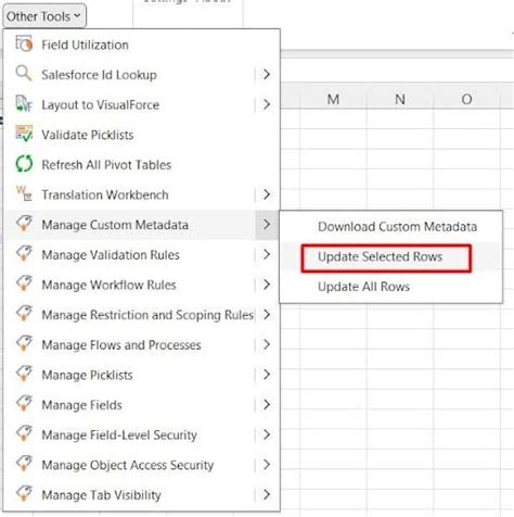 Mastering Salesforce Custom Metadata Xappex