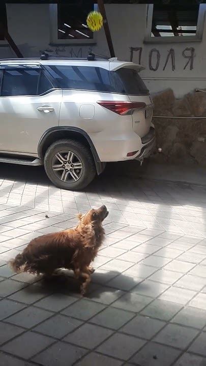 Чиба играет🥎 Youtube