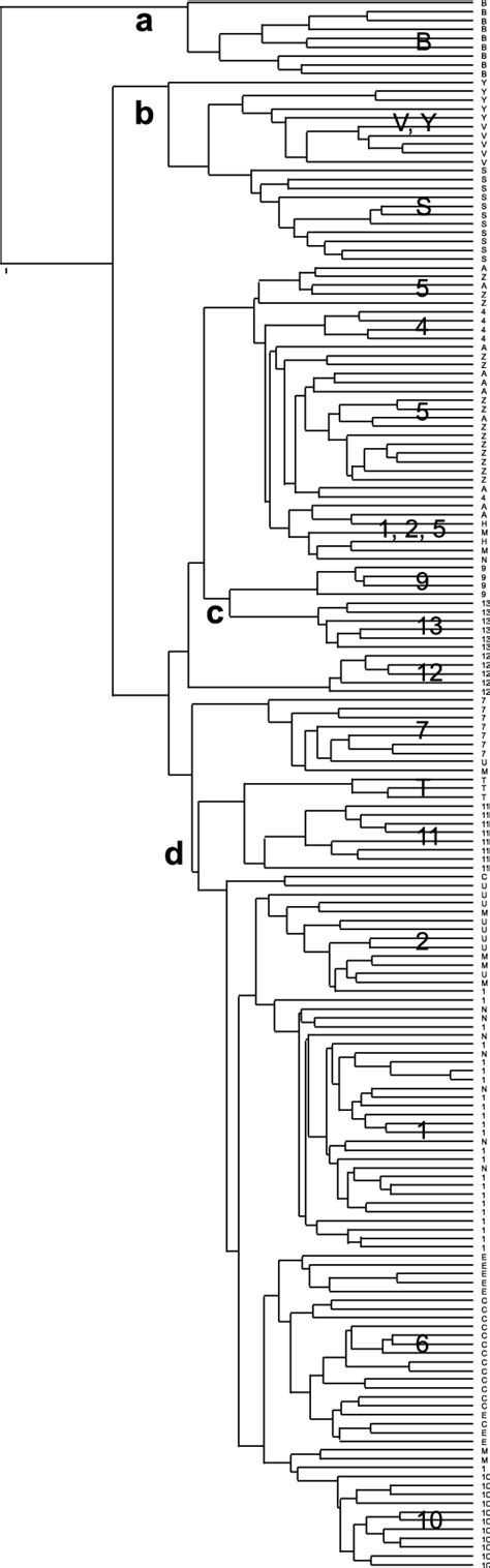 Cluster Analysis Based On Euclidian Similarity Matrix Of 178 Measured Download Scientific