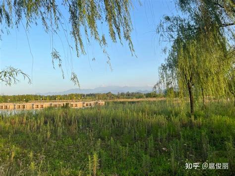 学习笔记（206）丨问题和解决之道是两个不同层次的思维方式 知乎