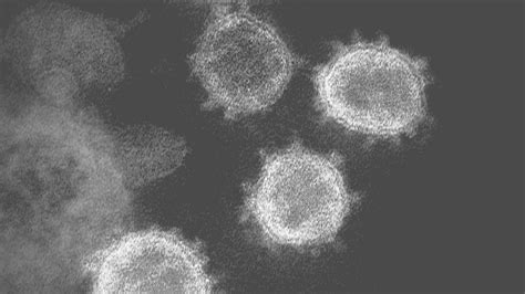 As Covid Guidance Evolves So Does A Virus Briefing The New York Times