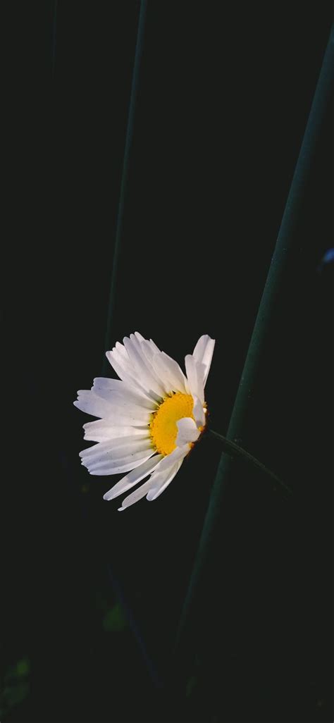 Pin De Susana Flórez Em Ibérn