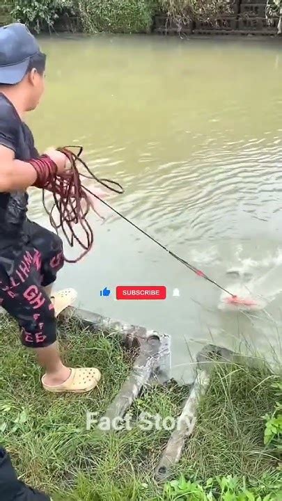 চায়নাদের 🇨🇳 মাছ ধরার 🎣 নতুন টেকনিক 😱 Shorts Reels Gadjet Fishing