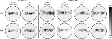 Illustration Of Spatial Filters Obtained With The Sfn And Csp