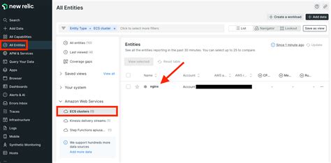 New Relic の Aws Integrationとecs Integration を有効化し、aws Fargate のメトリクスを連携