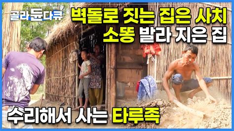 벽돌 집은 비싸서 못 살아요 네팔 정글 마을에서 사는 타루족의 연례행사 소똥 발라 초가집 수리하기 세계테마기행
