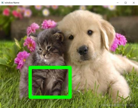 opencv：使用traincascade训练分类器完成图像识别任务 图片识别训练 csdn博客