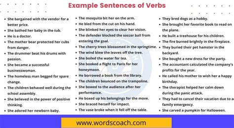 Find Verbs In A Sentence