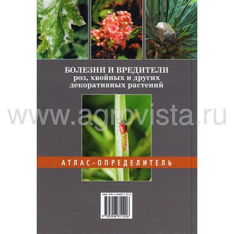 Болезни и вредители роз, хвойных и др. декоративных растений. Атлас ...