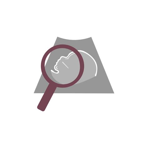 Léchographie Morphologique De 2nd Trimestre