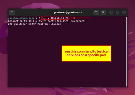 How To Use The Netcat Command In Linux Best Uses