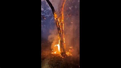 Catastrophic Fire Danger Forecast For Boxing Day As Bushfires Rage On
